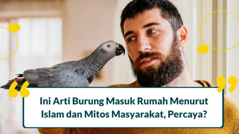 10 Arti Burung Masuk Rumah Pertanda Apa? Baik atau Buruk?